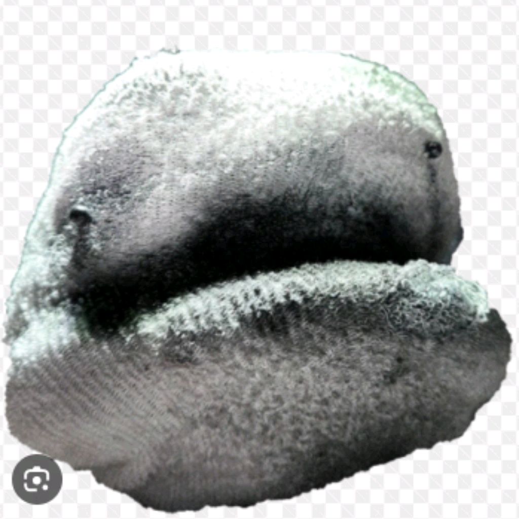 Иконка канала MamontoF228 ✓