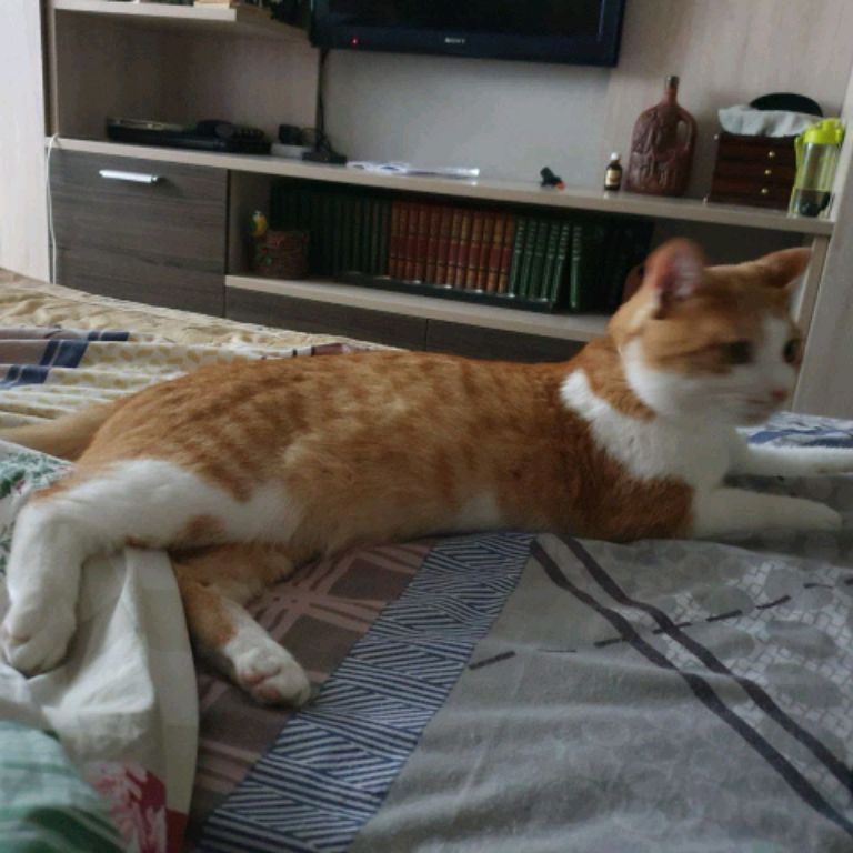 Иконка канала channel37105594