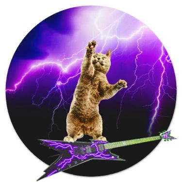 Иконка канала Steve-Shenker