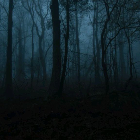 Иконка канала ok777ana