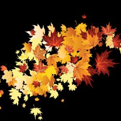 Иконка канала NM