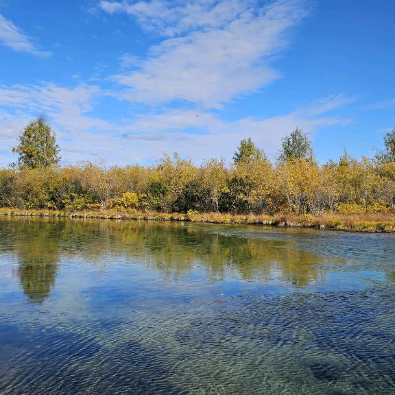 Иконка канала Жизнь на Чукотке моими глазами)
