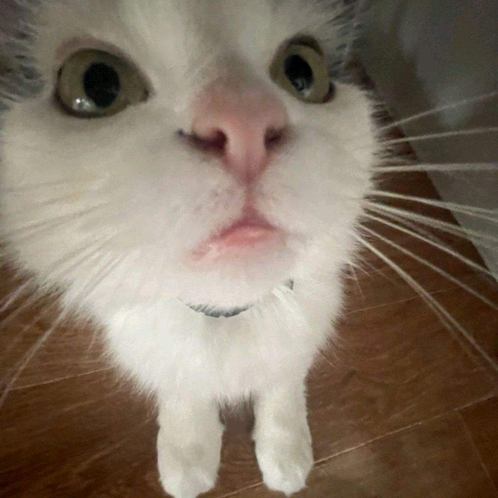 Иконка канала Интересные Видео