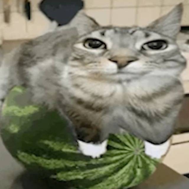 Иконка канала Витек12к