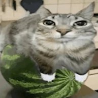 Иконка канала Витек13к