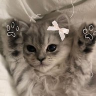 Иконка канала _Vika272 перезаливы_