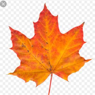 Иконка канала Тимофей