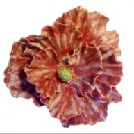 Иконка канала Марка Димитровых.Не посуда и место ей на стене