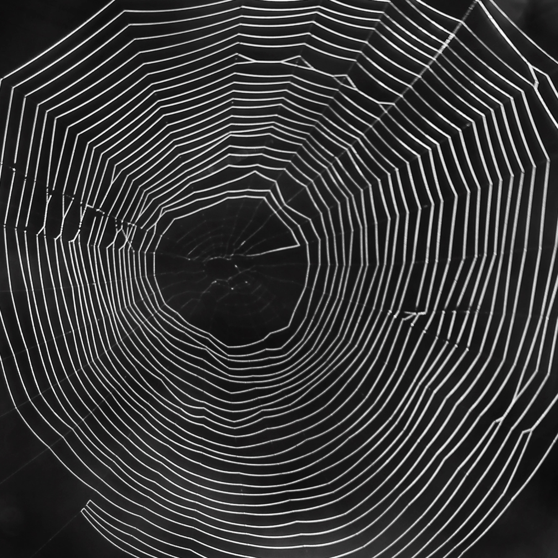 Иконка канала Facets of Sound Art