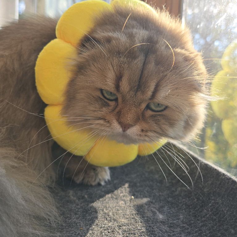 Иконка канала vladimira2433