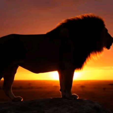 Иконка канала Неважно и мне Не Интересно