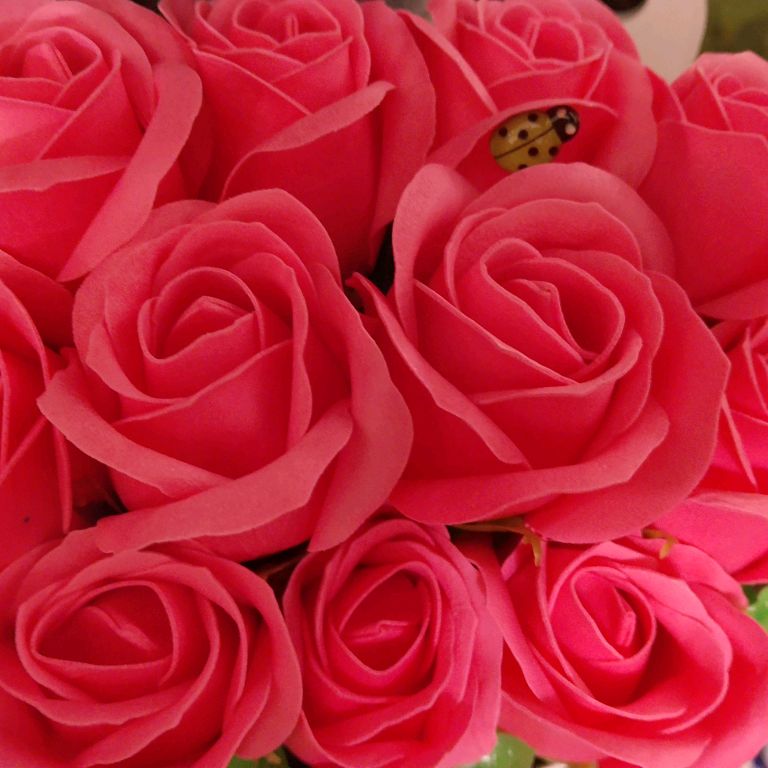 Иконка канала ксения