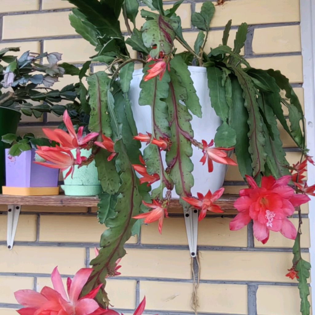 Иконка канала СВЕТ ВО ТЬМЕ