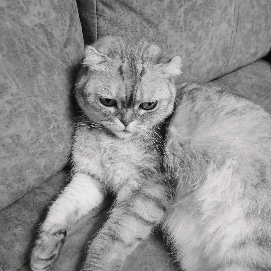 Иконка канала Артём Голдовский Пингвинёнок