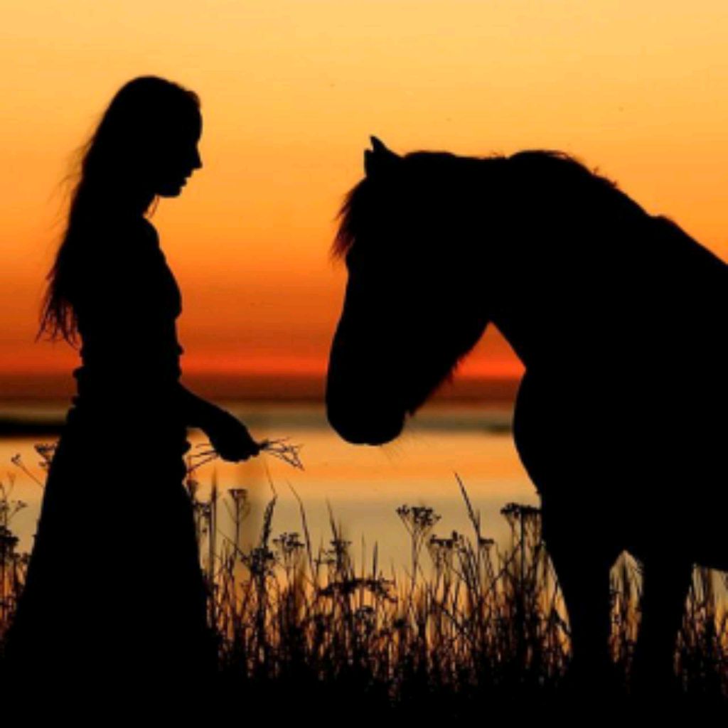 Иконка канала Алиса и Брайт