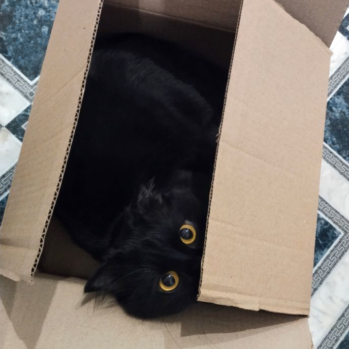 Иконка канала 53 кг Насти