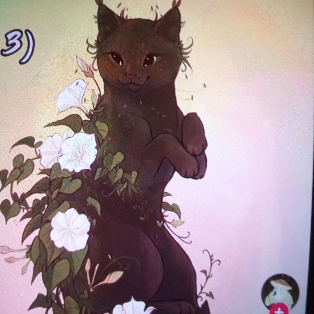 Иконка канала Amn2848592