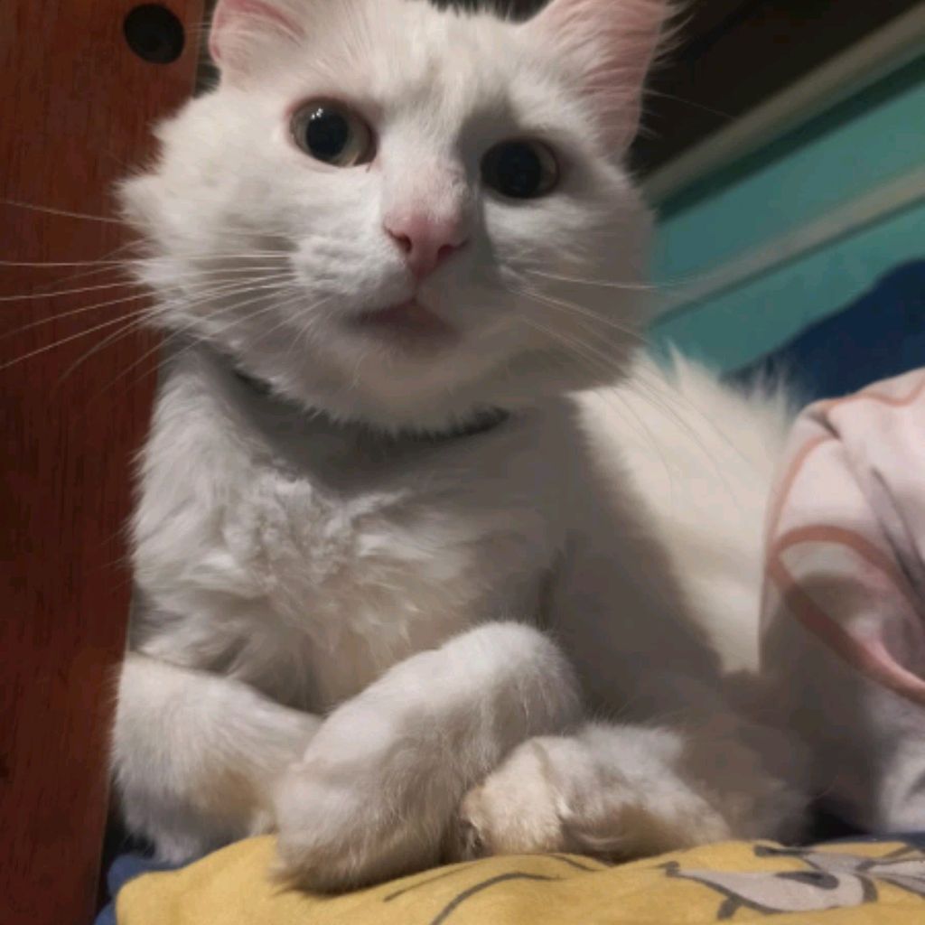 Иконка канала ~xvostik19~ Роблокс