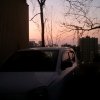 Иконка канала Prim Blog