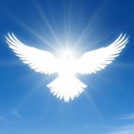 Иконка канала Ангелина Емельянова - "Личная встреча"