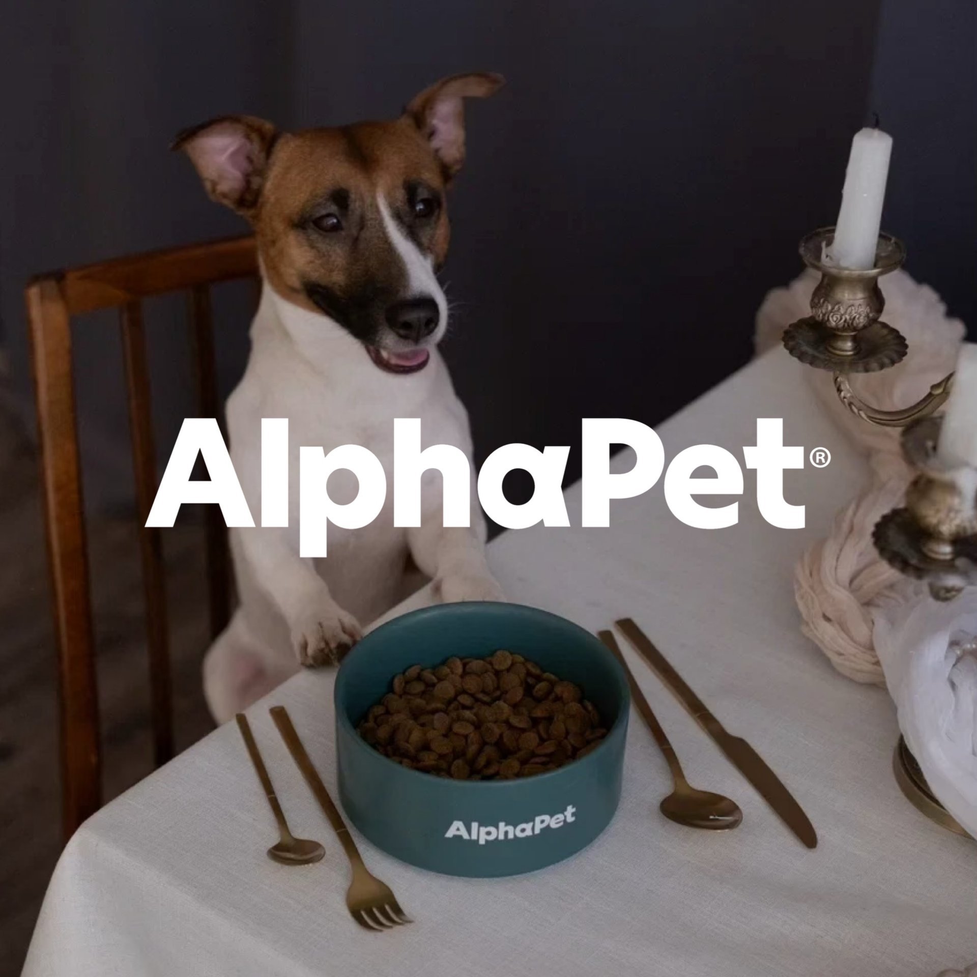 Иконка канала AlphaPet