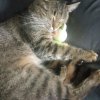 Иконка канала MACR😼