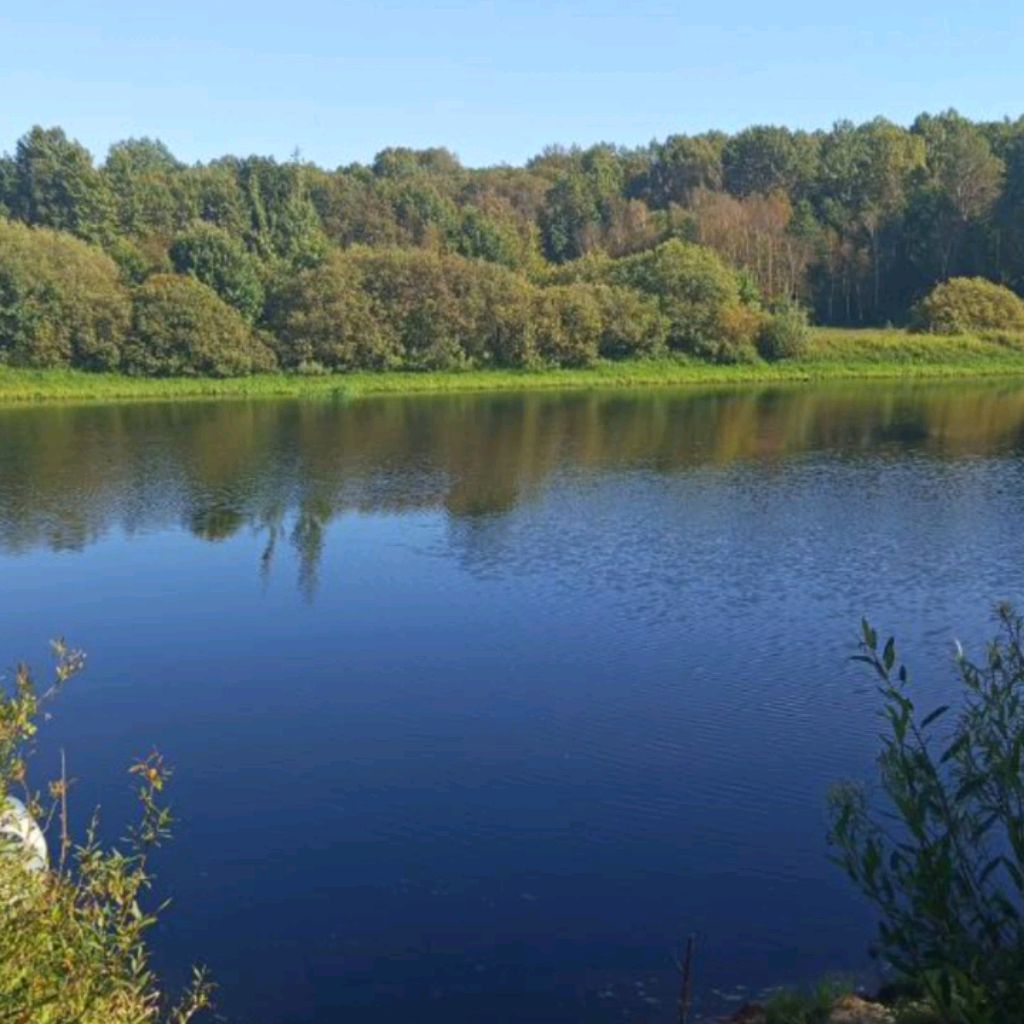 Иконка канала CHERRY1