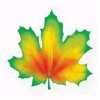Иконка канала Как Живёт Планета