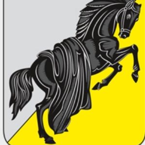 Иконка канала Администрация Каслинского муниципального района