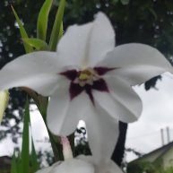 Иконка канала Созвездие рукоделия.