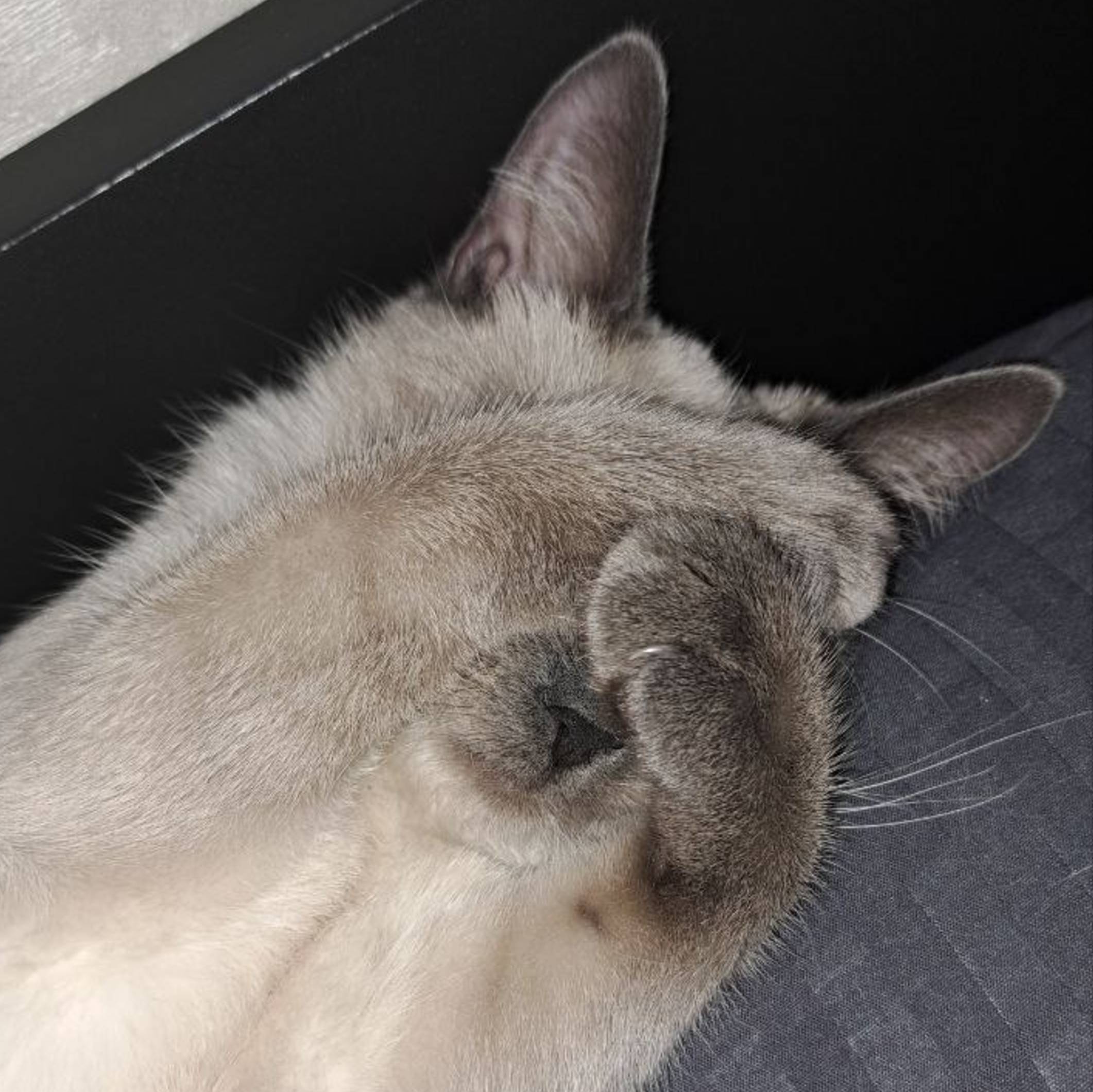 Иконка канала СТИХИ