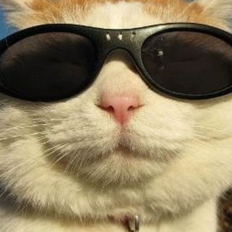 Иконка канала Черичинг