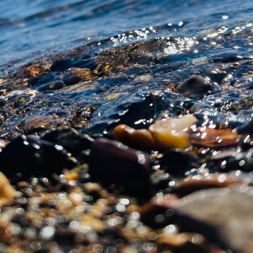 Иконка канала Аквариумные будни