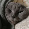 Иконка канала 👍Нормальный👍