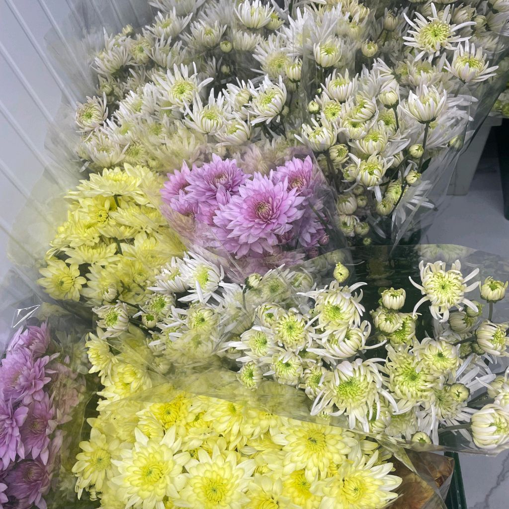 Иконка канала Родина