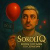Иконка канала SokolIQ