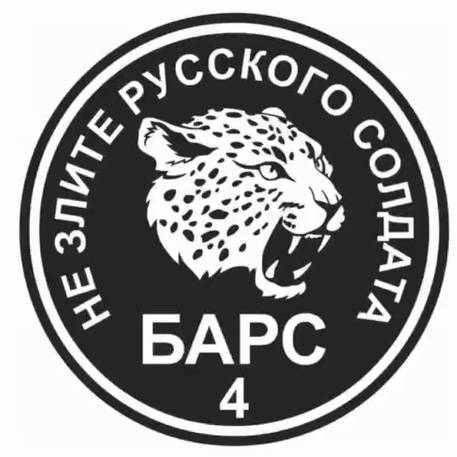 Иконка канала БАРС 4