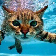 Иконка канала Эксперт по всему ( кроме реальности).