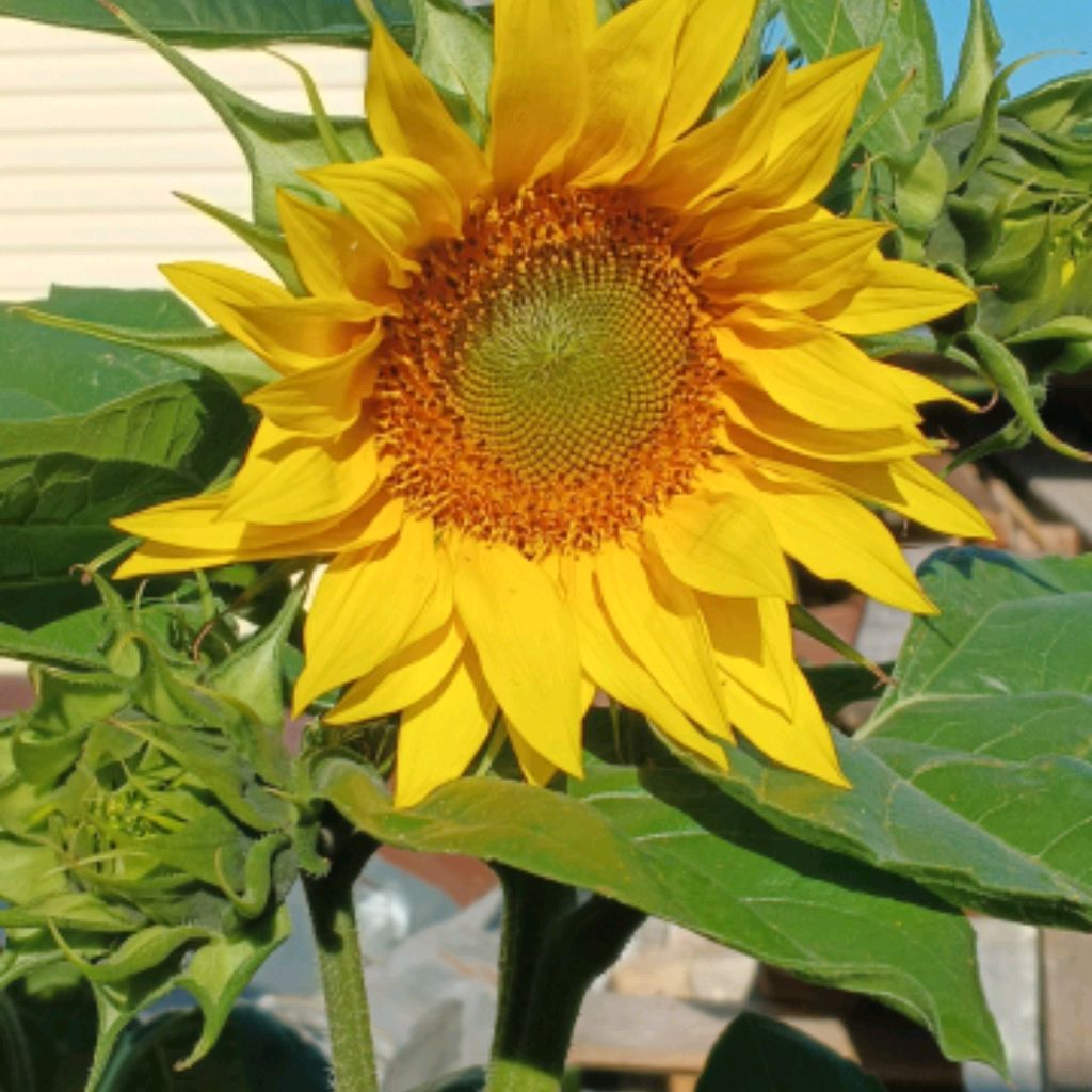 Иконка канала Матвей  и Рыбалка🇷🇺