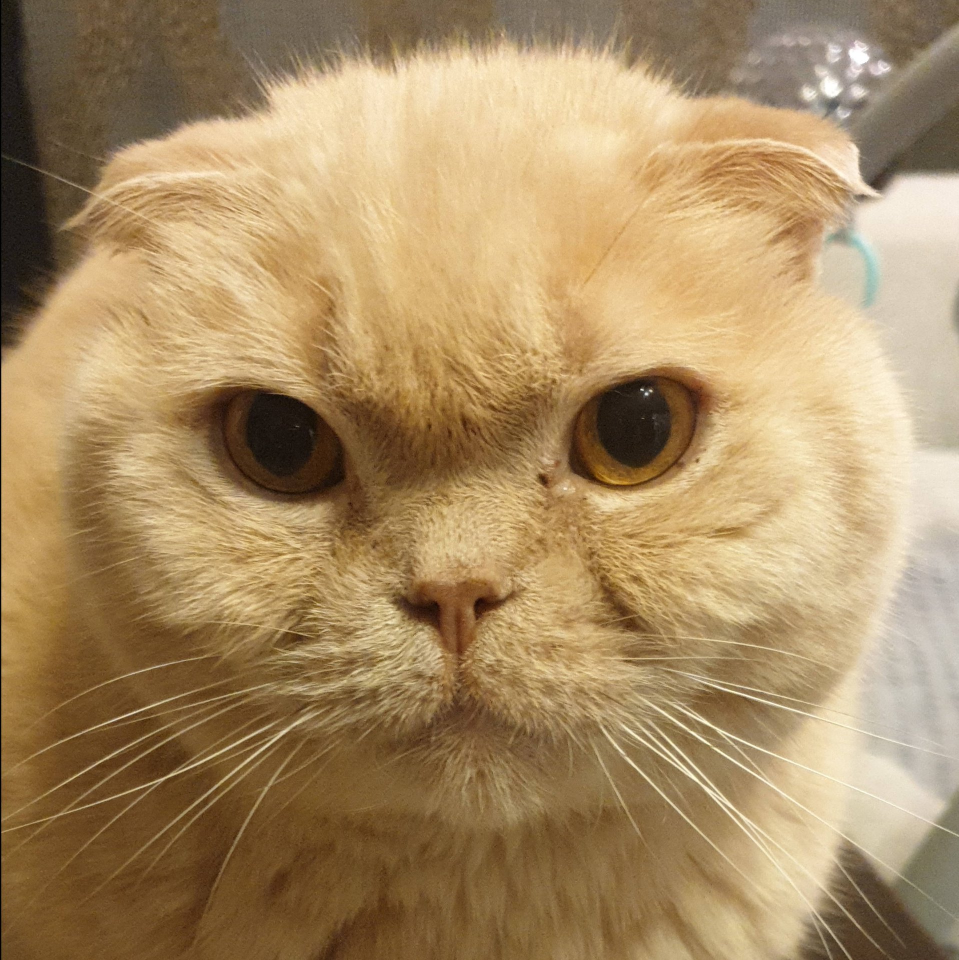 Иконка канала Интересные факты которые нас окружают