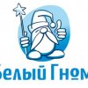 Иконка канала Белый Гном