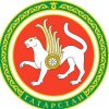 Иконка канала Госкомархив Республики Татарстан