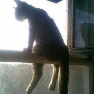 Иконка канала СВОБОДНАЯ МИНУТКА.