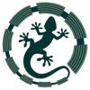 Иконка канала drillgecko.com