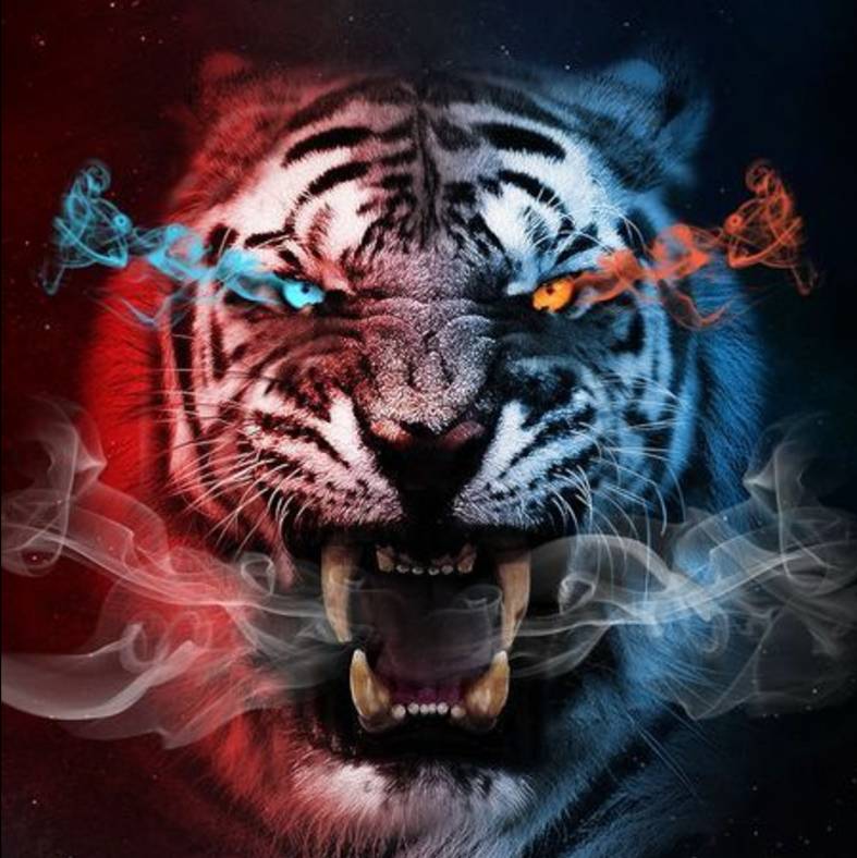 Иконка канала NikitosiQ