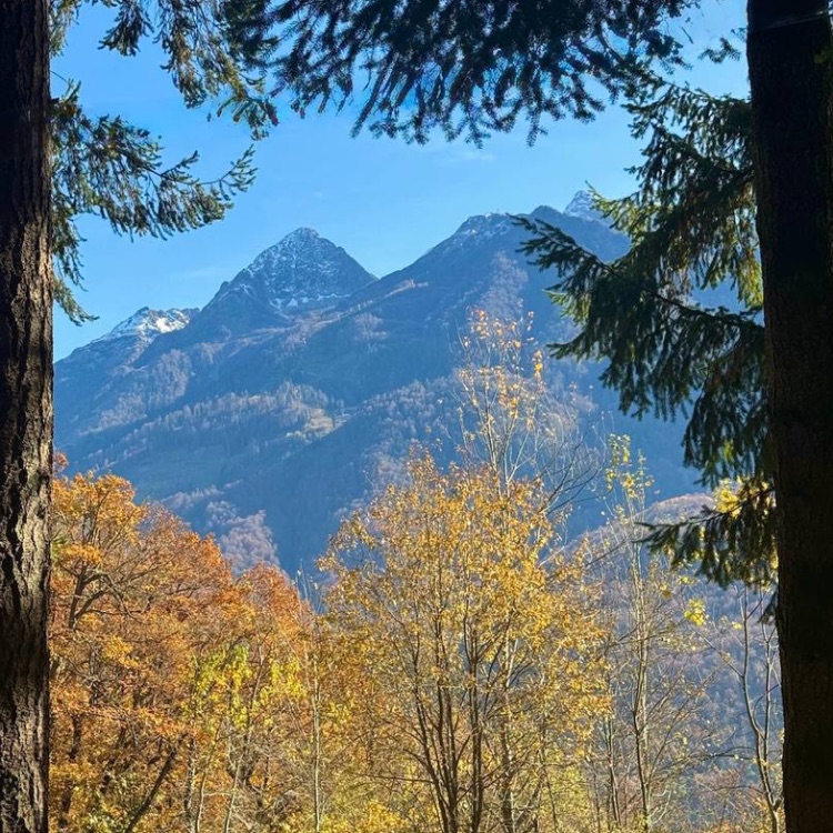 Иконка канала Цитаты, высказывания