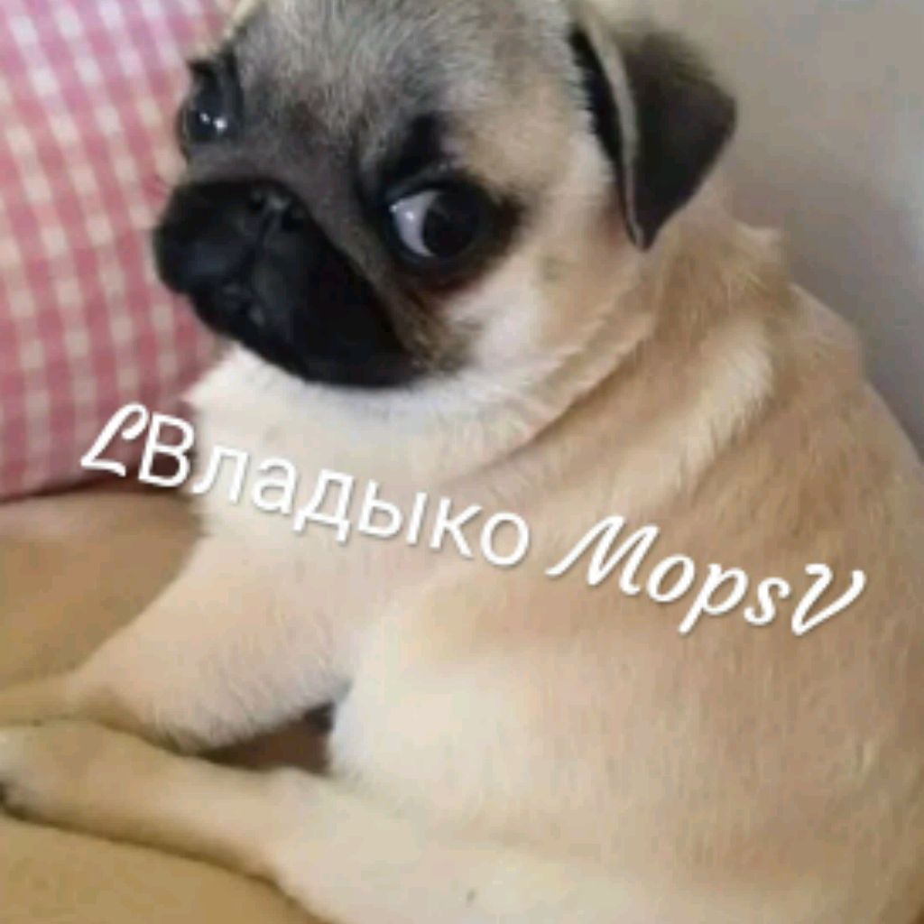 Иконка канала владыко2014