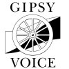Иконка канала Gipsy Voice Tv Radio