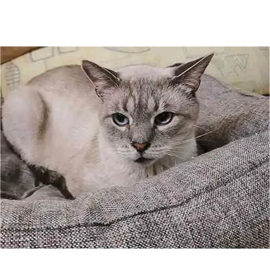 Иконка канала ПРОСТО ФОНК