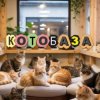 Иконка канала КОТОБАЗА